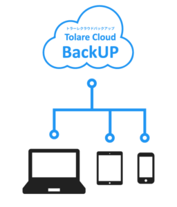 トラーレクラウド Tolare Cloud – データの保全・防御・共有をオールインワンで管理 クラウド型セキュリティストレージ